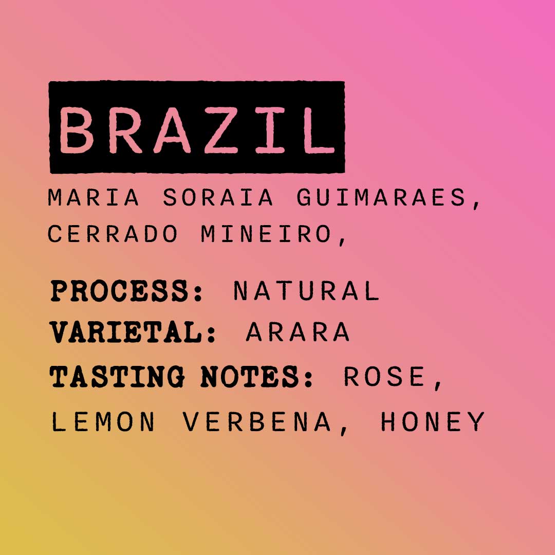 Brazil - Maria Soraia Natural Arara | Obscure Coffee Roasters