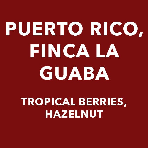 Puerto Rico Finca La Guaba, Honey Process Coffee | Obscure Coffee Roasters